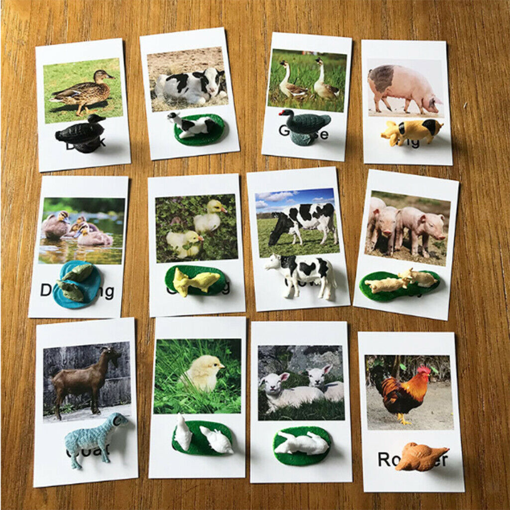 60x Realistic Montessori Jungle Animals Figures Set With Matching Card ...